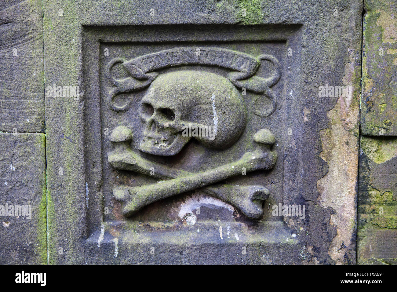 A close-up of a skull and crossbones on a headstone in a graveyard ...