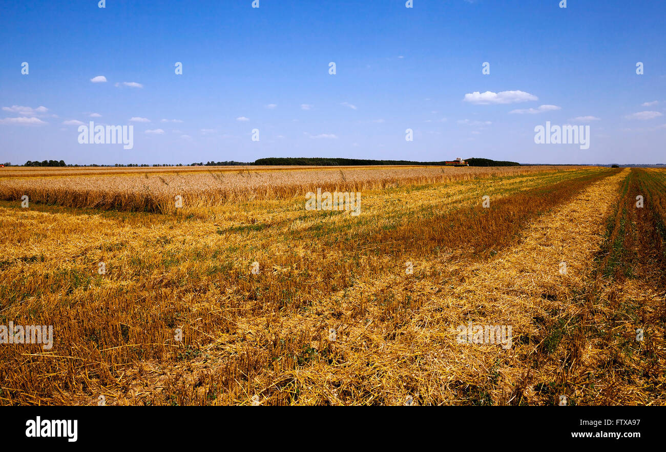 Cleaning wheat hi-res stock photography and images - Alamy