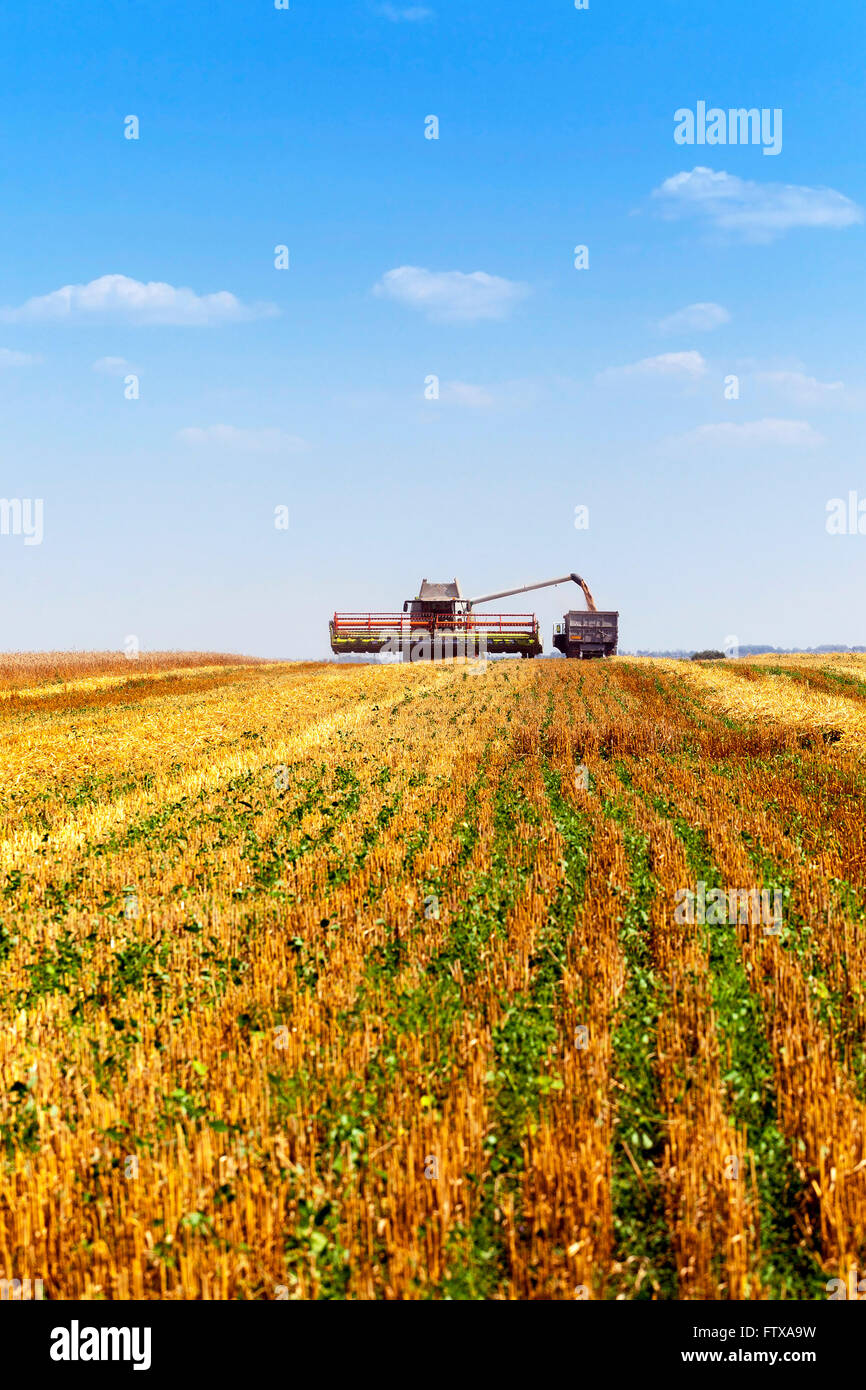 agricultural field cleaning Stock Photo - Alamy