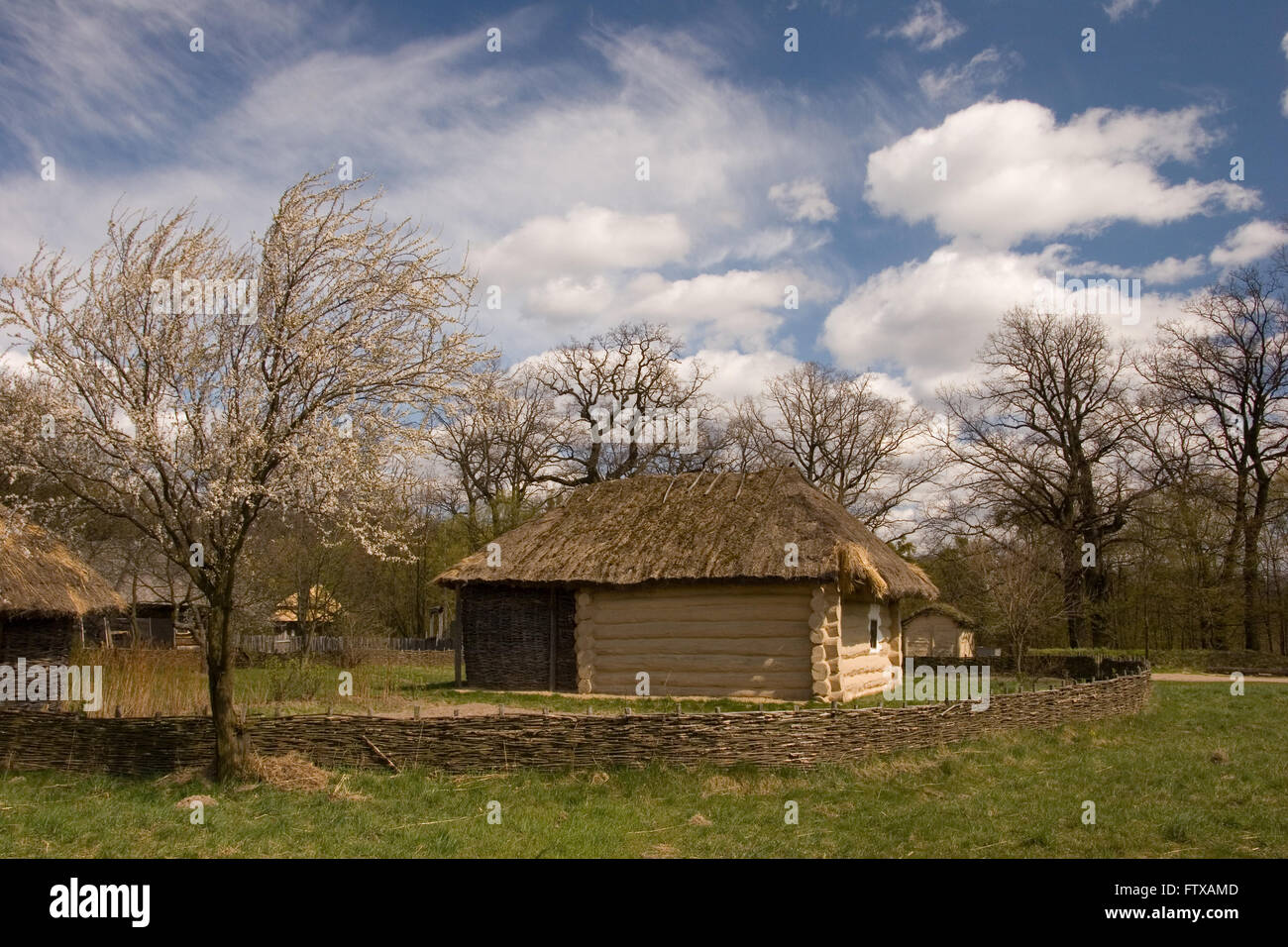 Ancient village house in spring, cherry orchard Stock Photo - Alamy