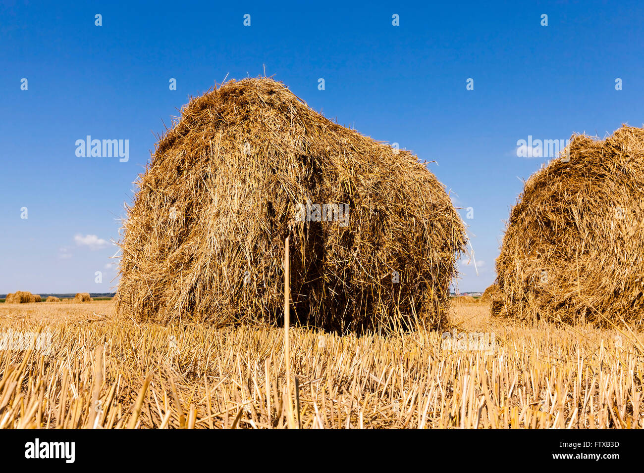 two bales of hay Stock Photo - Alamy