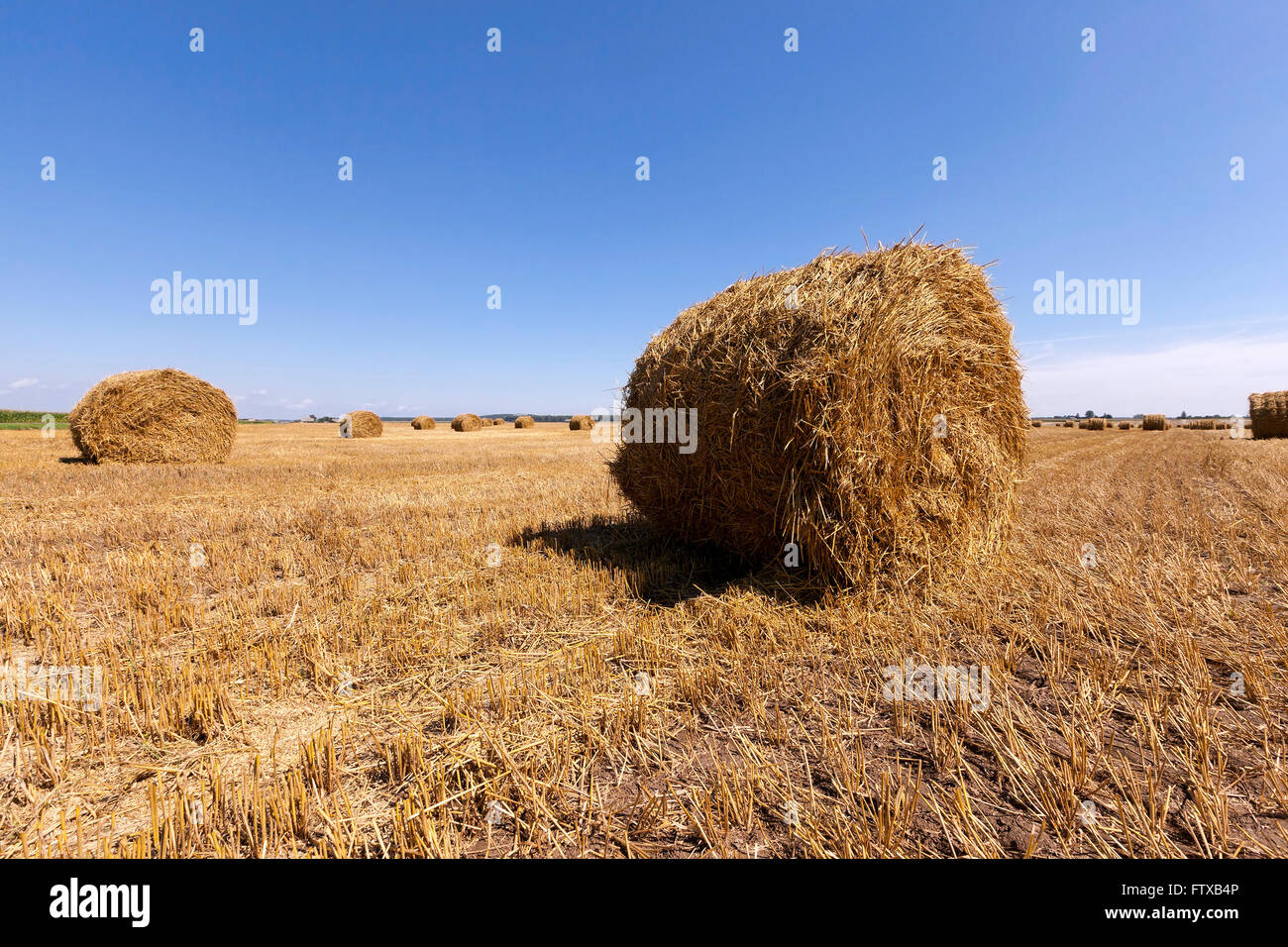 Stack of straw Stock Photo - Alamy
