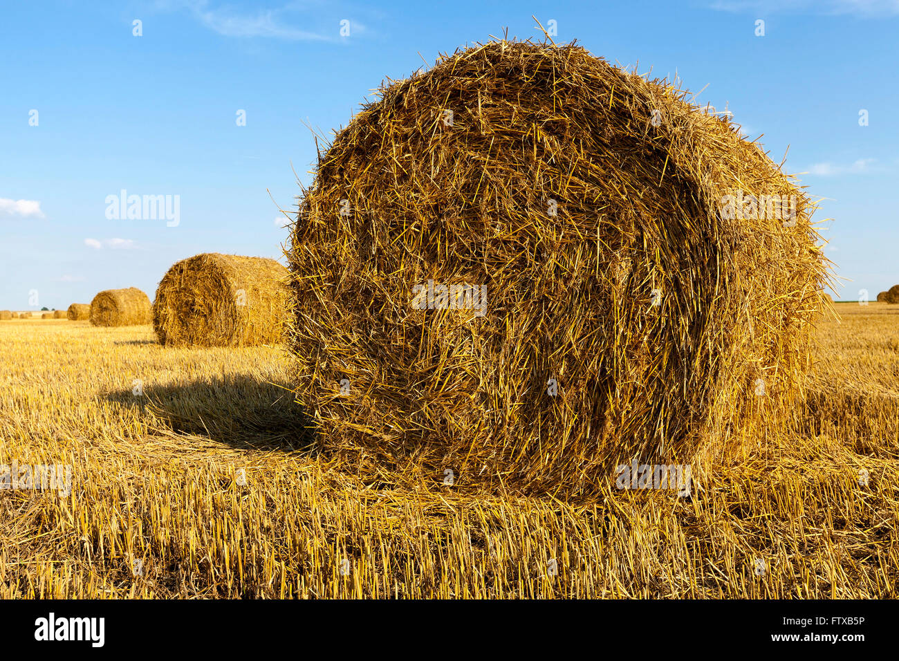 haystacks straw , cereal Stock Photo - Alamy