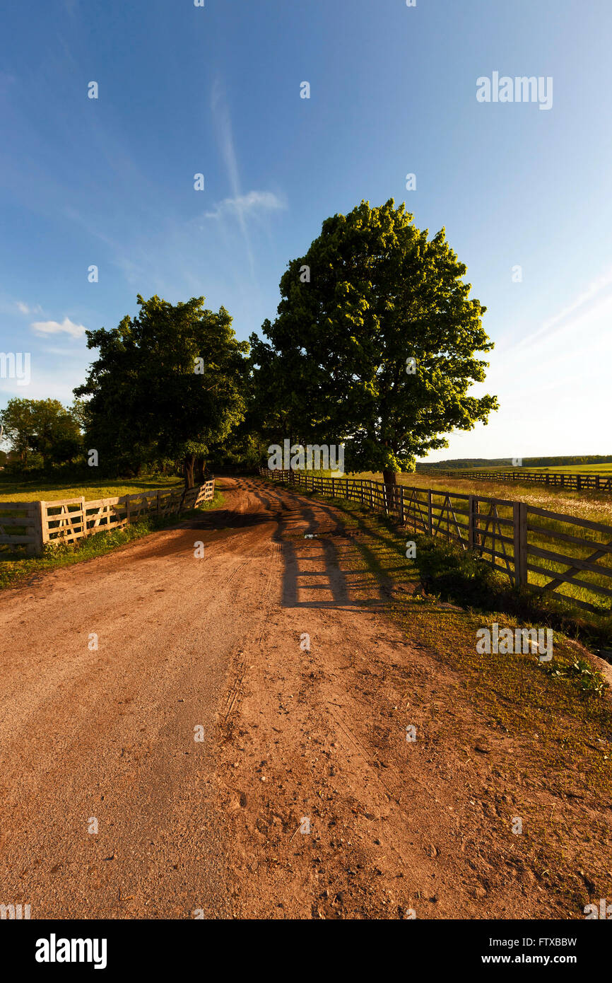 rural road , fence Stock Photo - Alamy