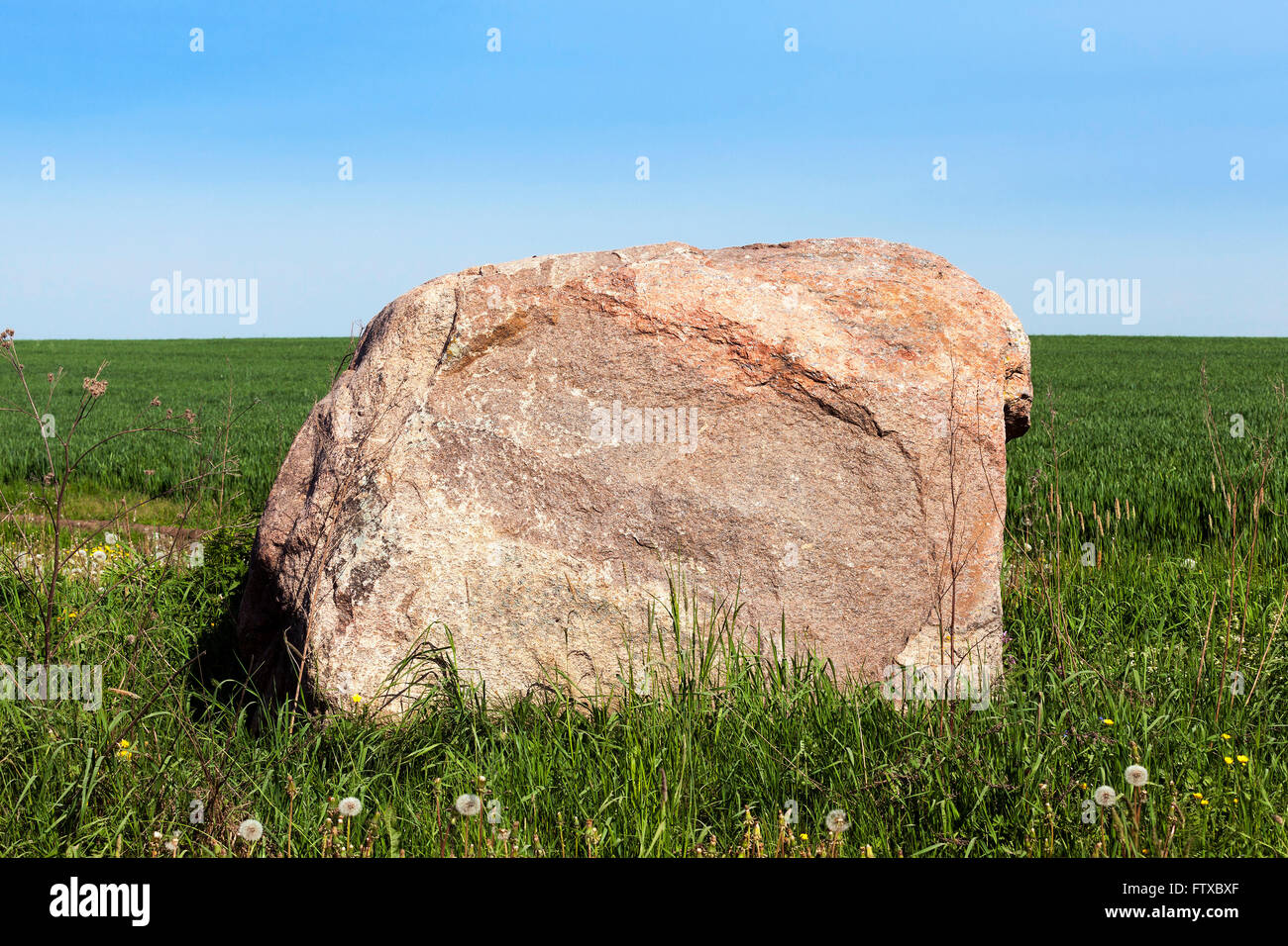stone in the grass Stock Photo - Alamy