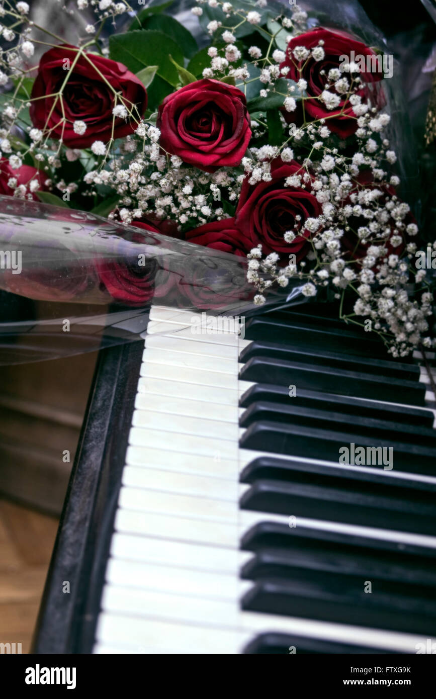 Piano roses hi-res stock photography and images - Alamy