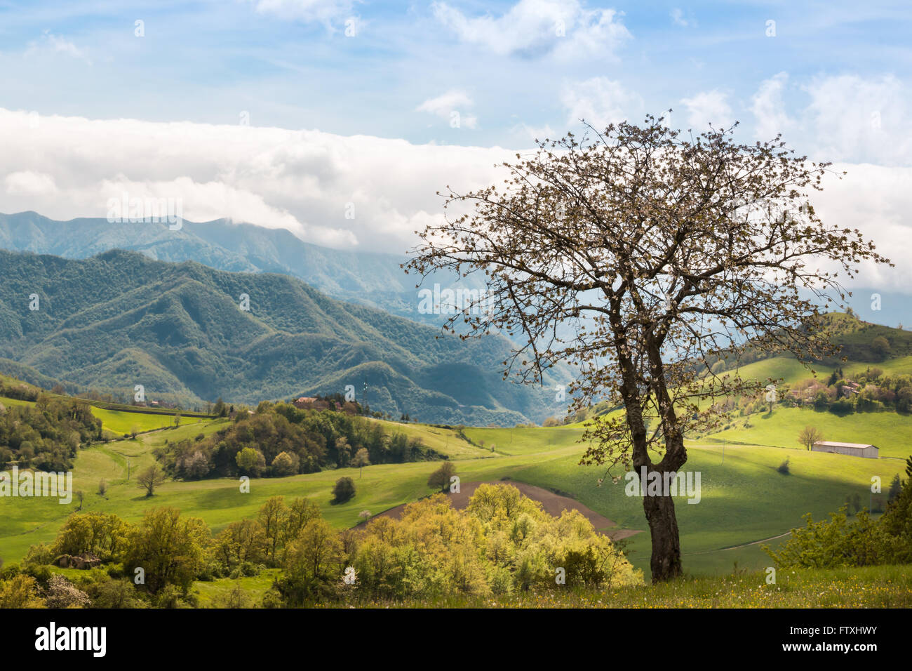 Beautiful Italian Countryside Landscape over Rolling Hills and Blue Sky ...