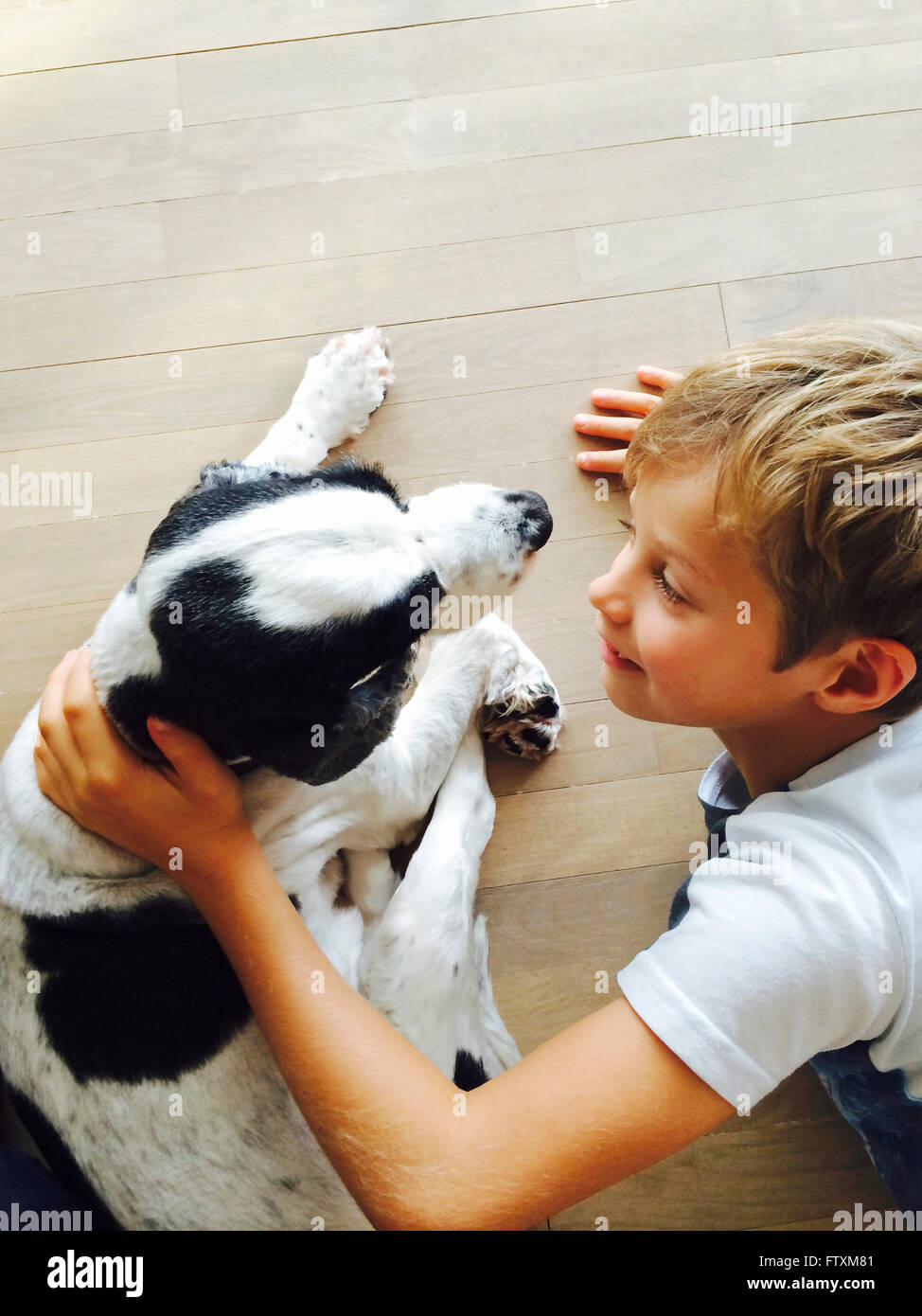 Boy playing with his dog Stock Photo - Alamy