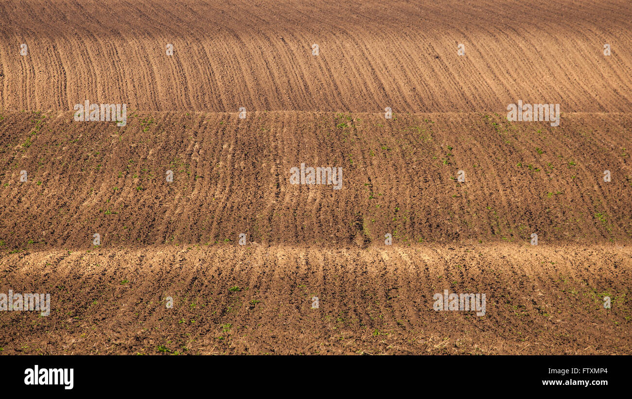 Plow Soil Stock Photos & Plow Soil Stock Images - Alamy
