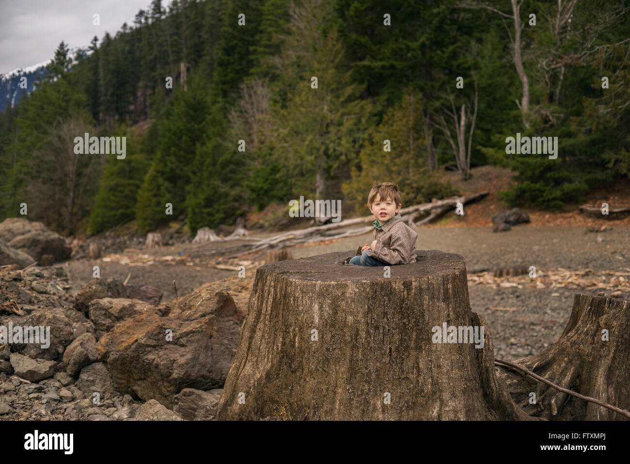 Children sitting in a tree hi-res stock photography and images - Alamy