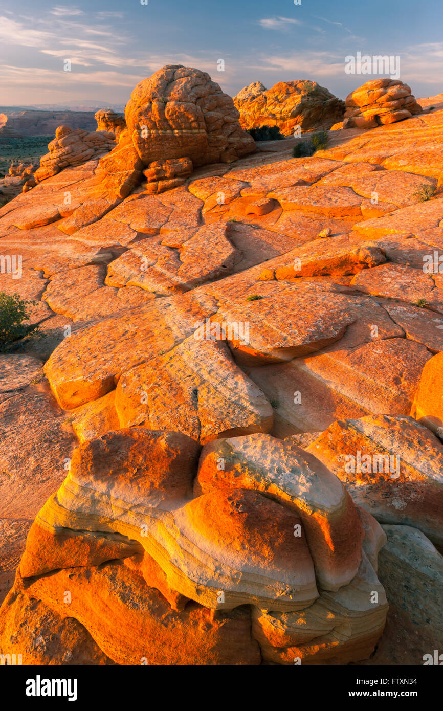 Coyote Hills High Resolution Stock Photography and Images - Alamy