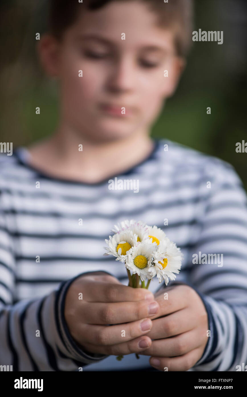 Boy holding daisy flowers Stock Photo - Alamy