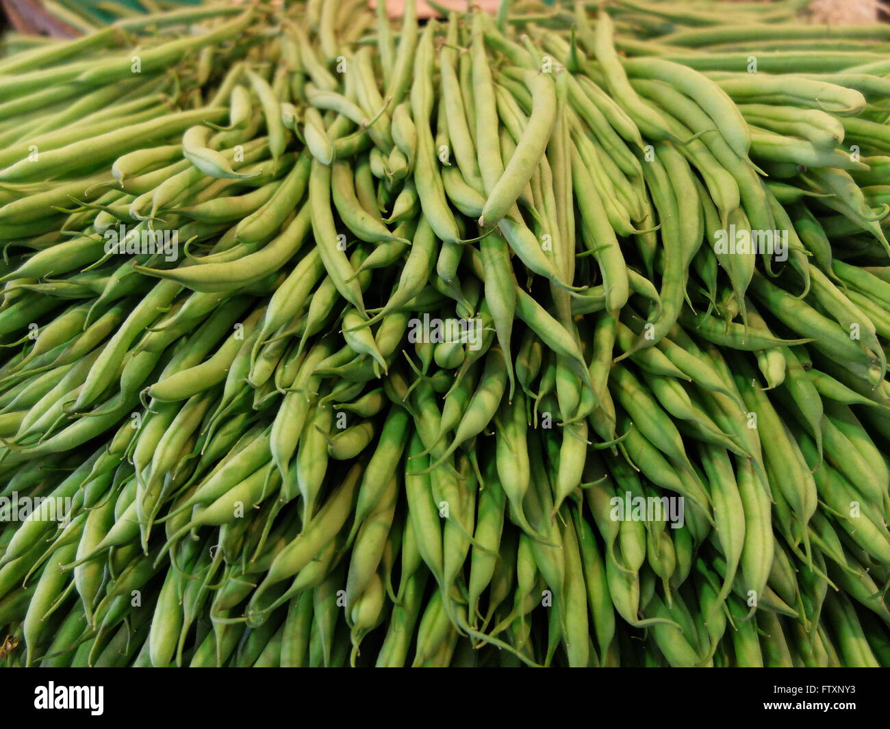 Close-up of green beans Stock Photo - Alamy