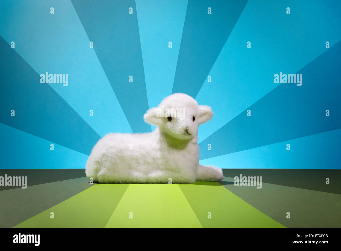 Sunny lamb hi-res stock photography and images - Alamy