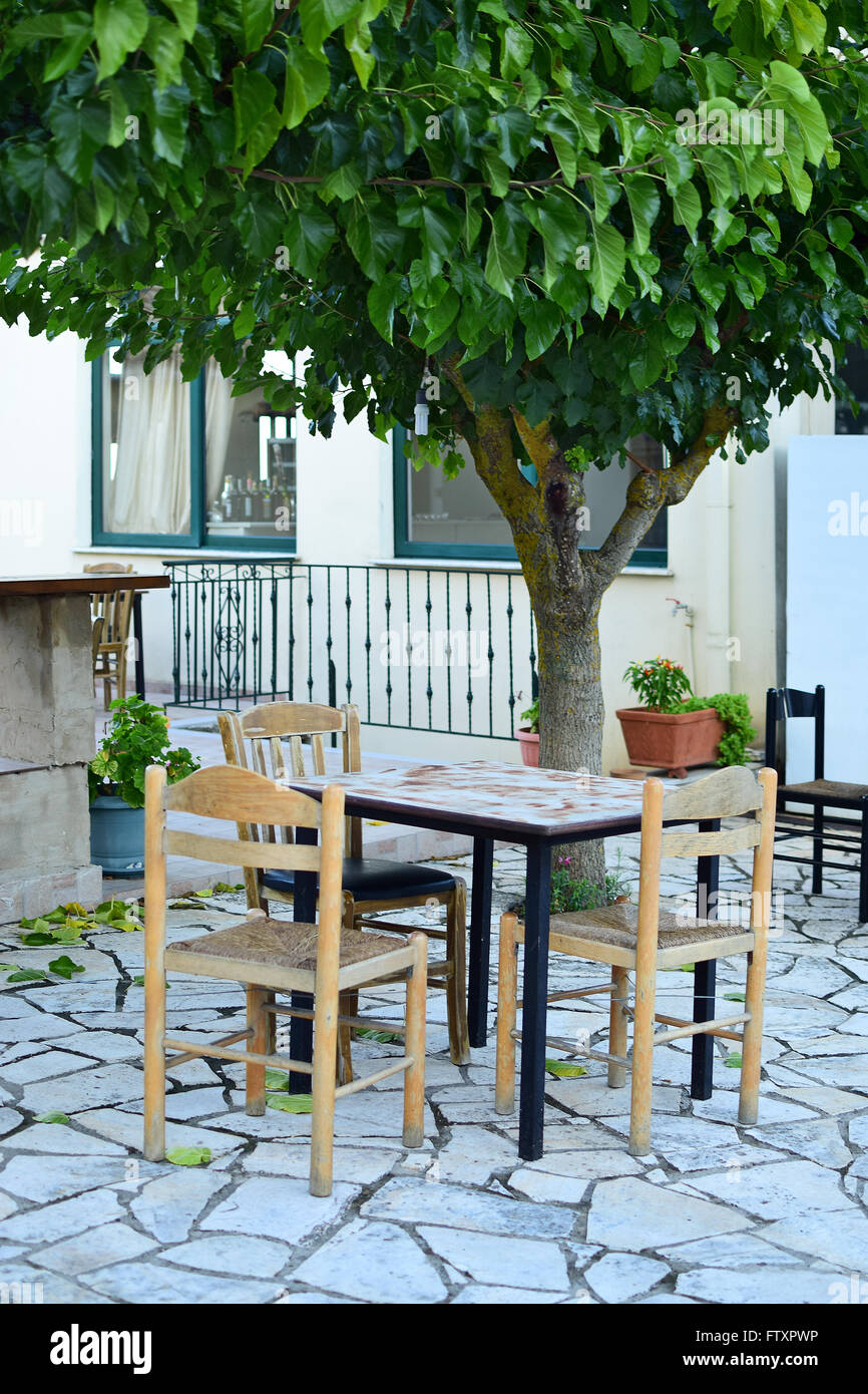 Table Chair Under Tree In High Resolution Stock Photography and Images ...