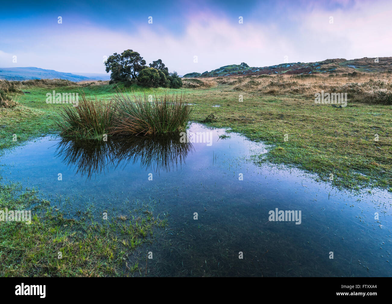Magical uk pond hi-res stock photography and images - Alamy