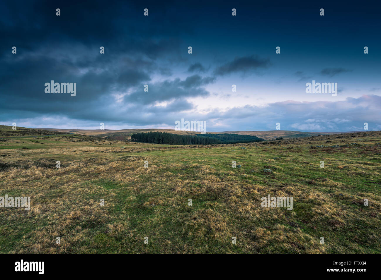 Typical devon landscape hi-res stock photography and images - Alamy