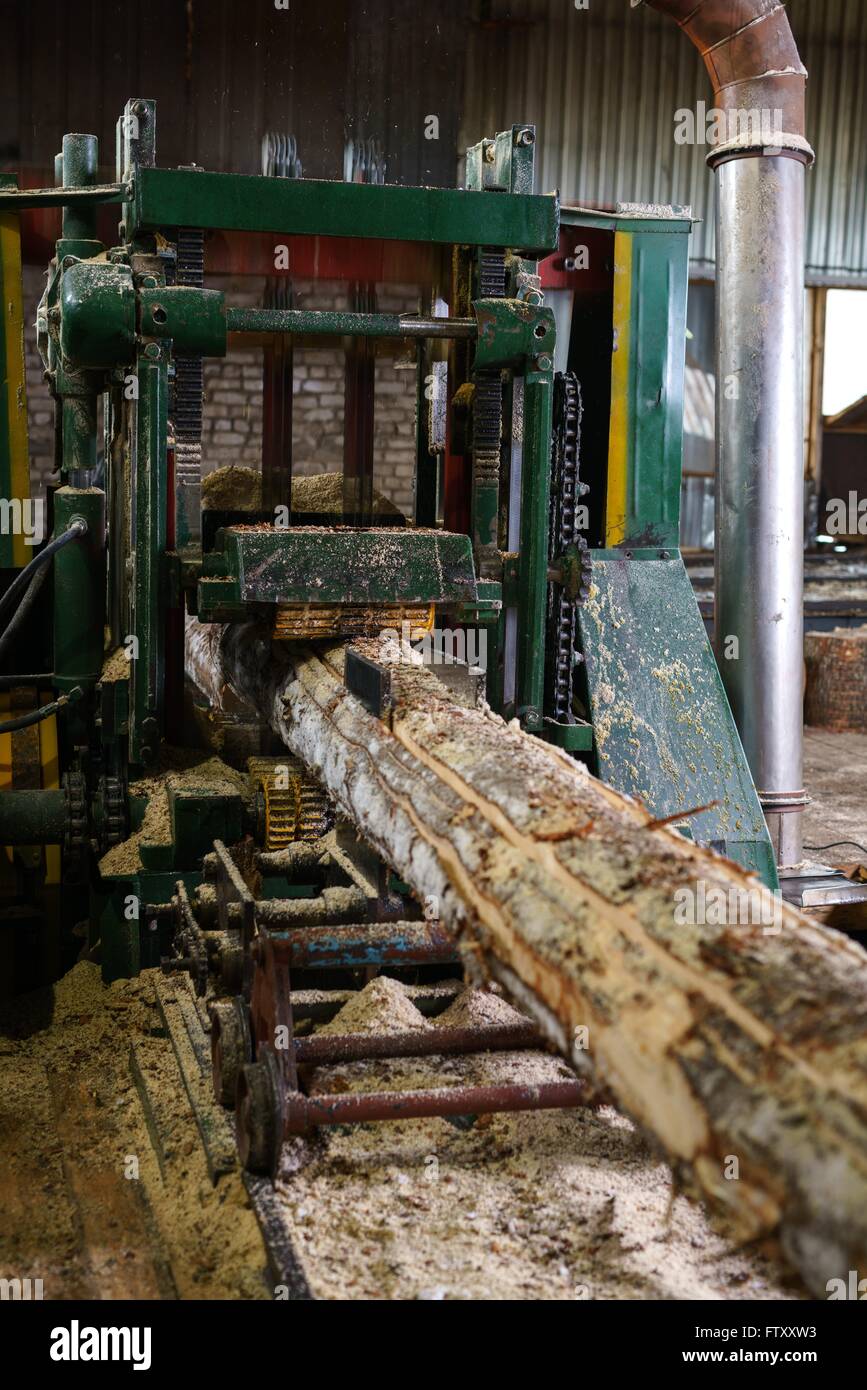 Image of timber machining at sawmill Stock Photo - Alamy