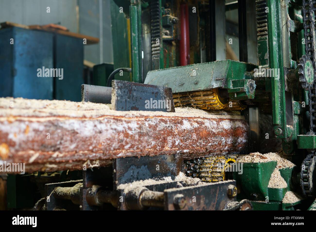 At sawmill. Image of sawing log on machine Stock Photo - Alamy