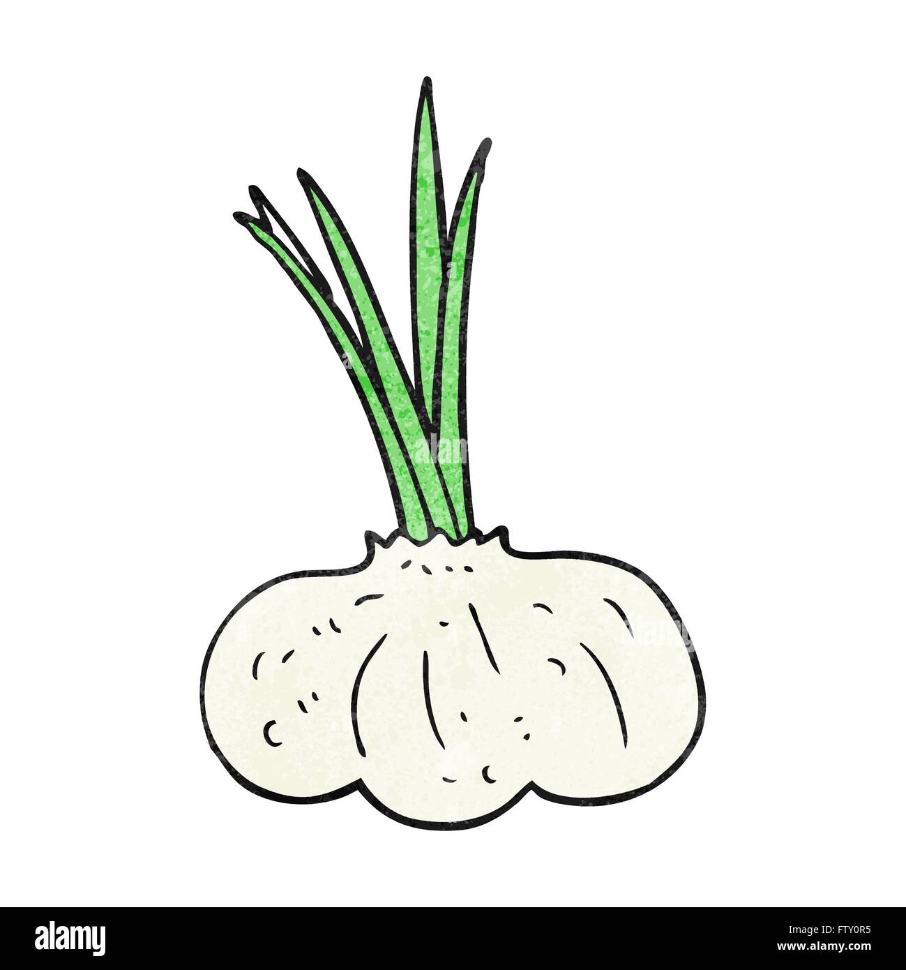 freehand textured cartoon garlic bulb Stock Vector Image & Art - Alamy
