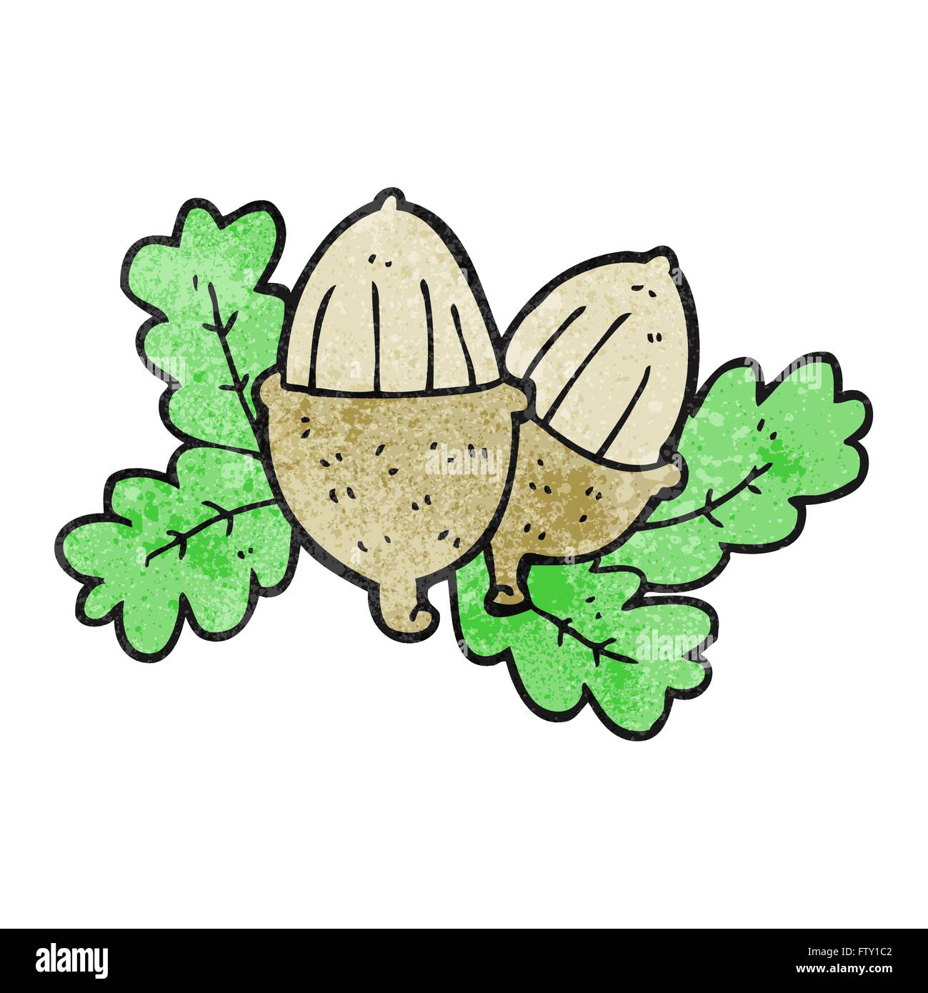 freehand textured cartoon acorns Stock Vector Image & Art - Alamy