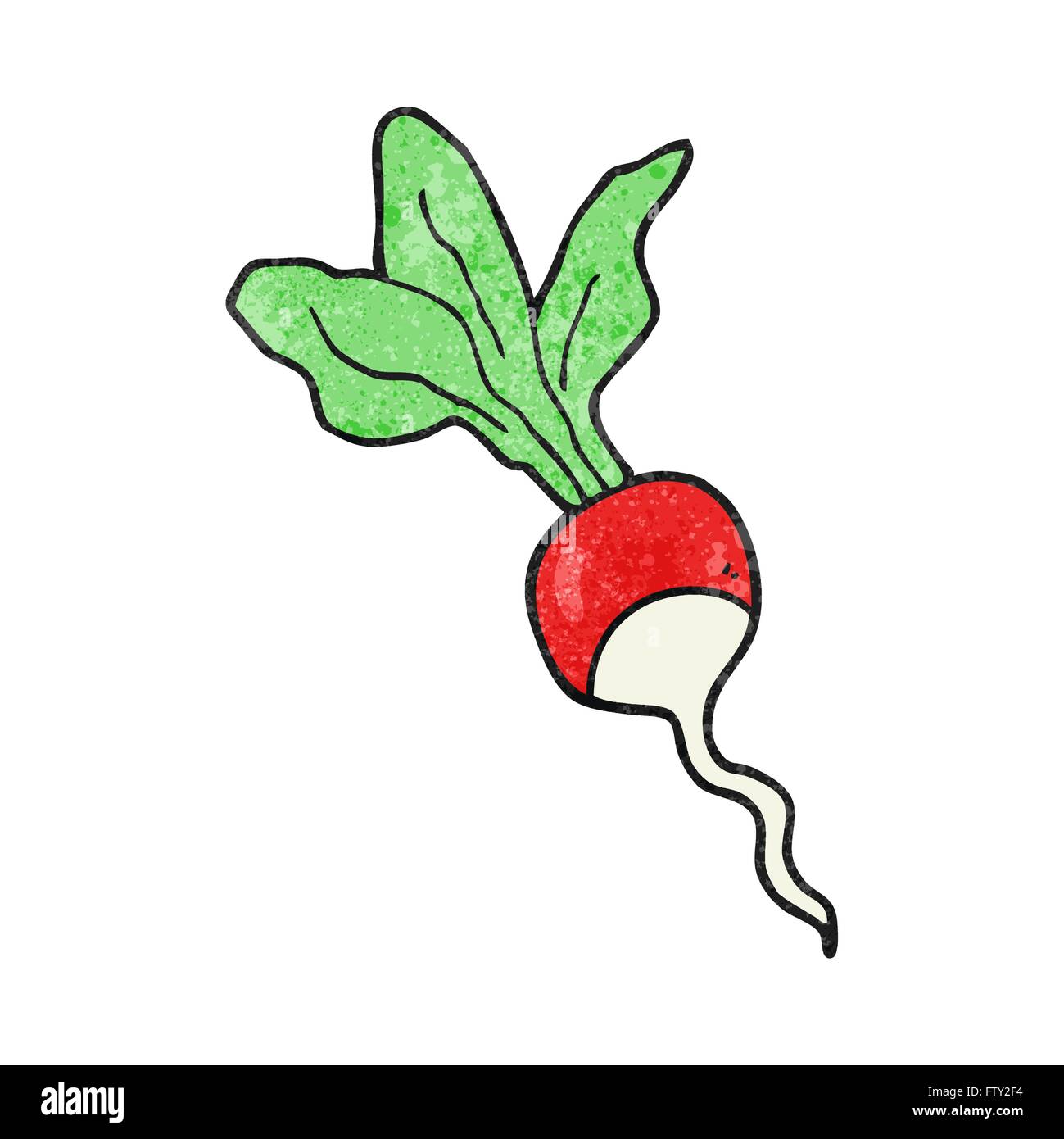 freehand textured cartoon radish Stock Vector Image & Art - Alamy