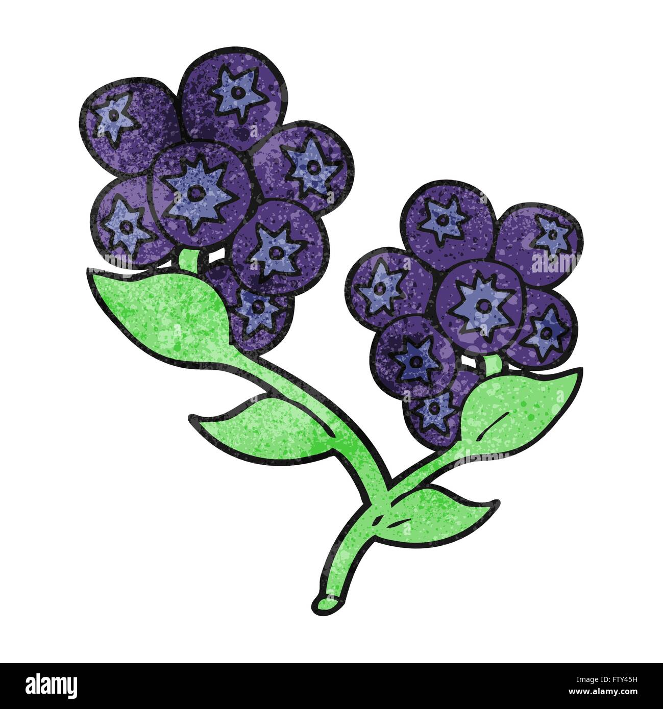 freehand textured cartoon blueberries Stock Vector Image & Art - Alamy