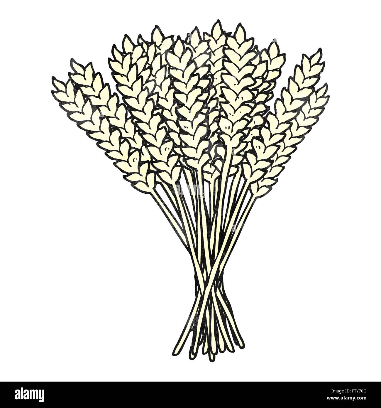 freehand textured cartoon wheat Stock Vector Image & Art - Alamy