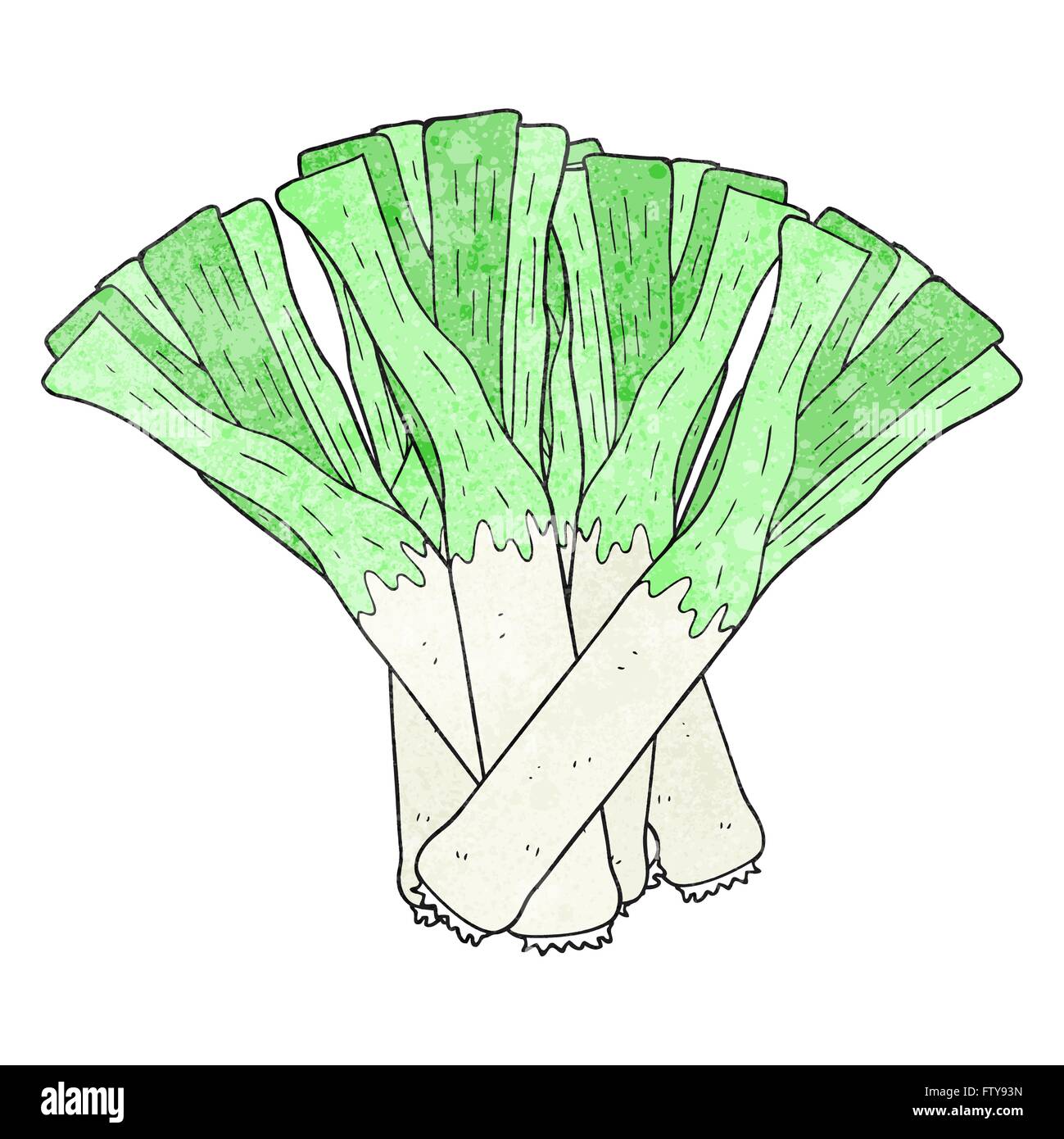 Leeks garden Stock Vector Images - Alamy