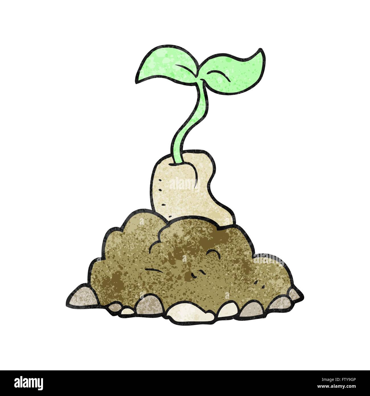 Seed Germination Animation
