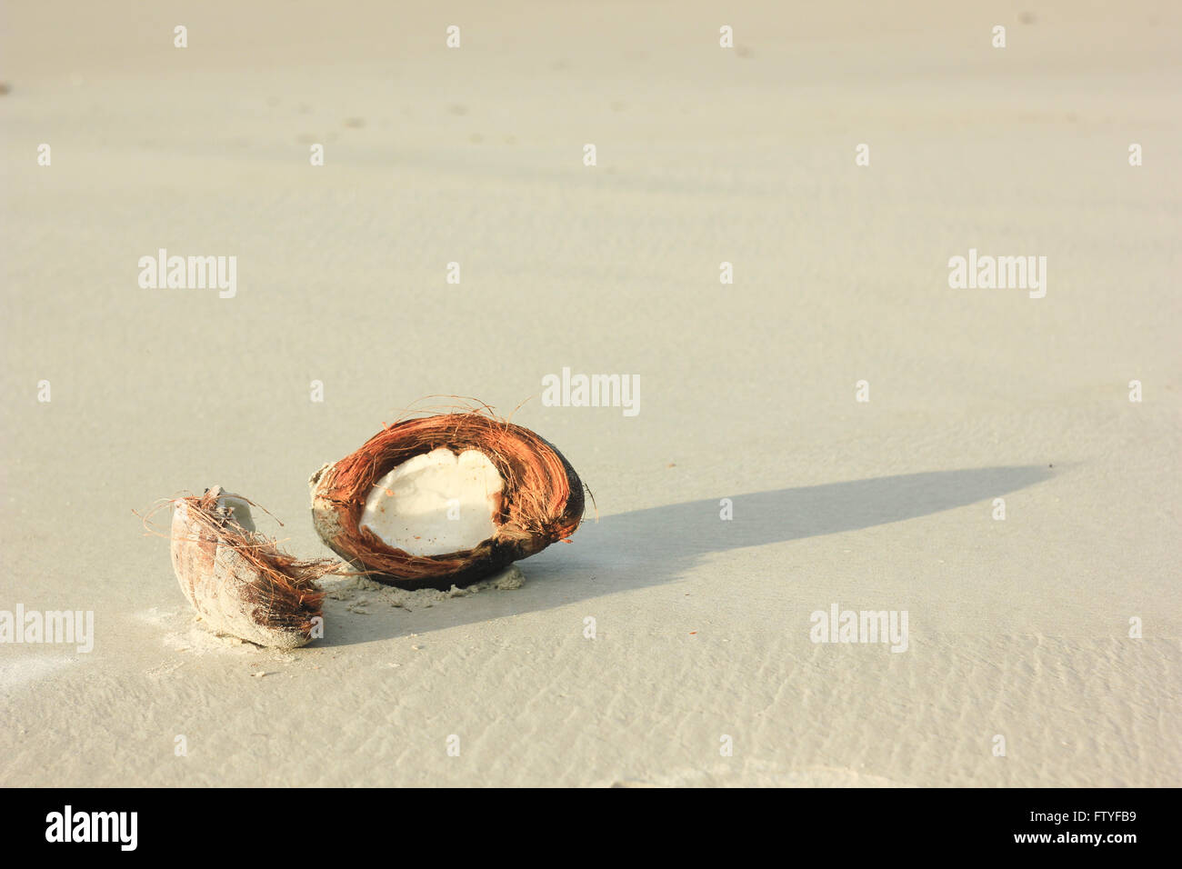 close-up of open coconut on white sand in ocean beach with water waves ...