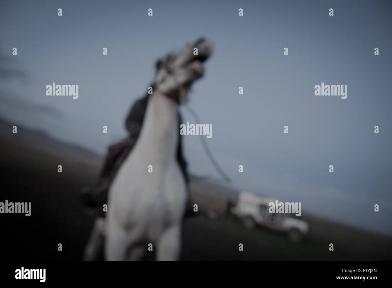 a horse rider, out of focus photograph, and a lonely traveler in the ...