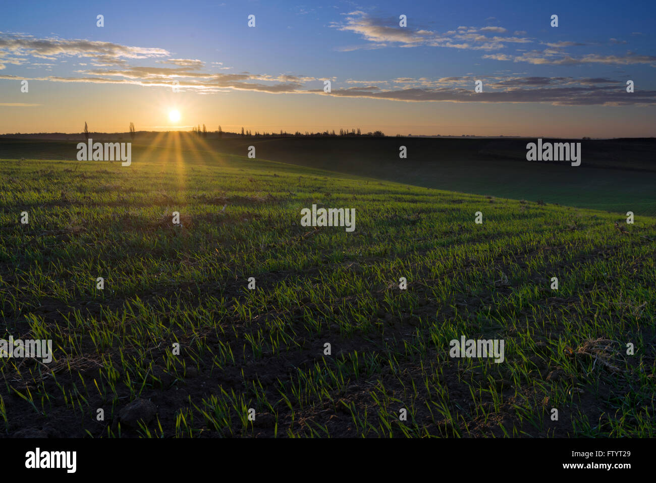Sunny Morning In The Countryside Stock Photo - Alamy
