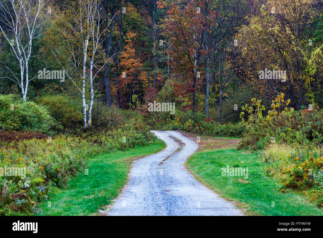 Autumn rural gravel road hi-res stock photography and images - Alamy