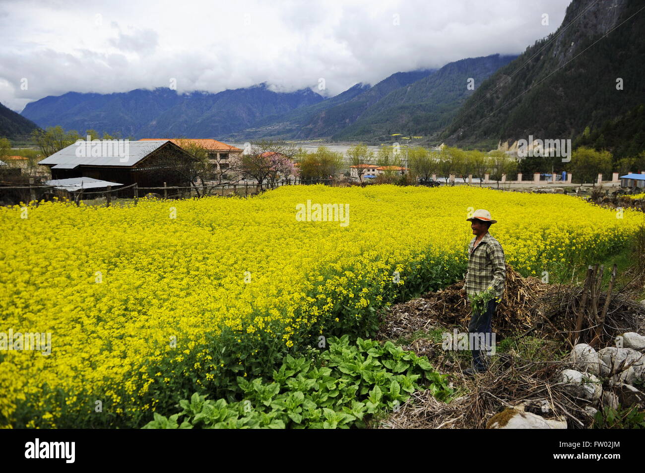 Nyingchi, China's Tibet Autonomous Region. 29th Mar, 2016. A man stands ...