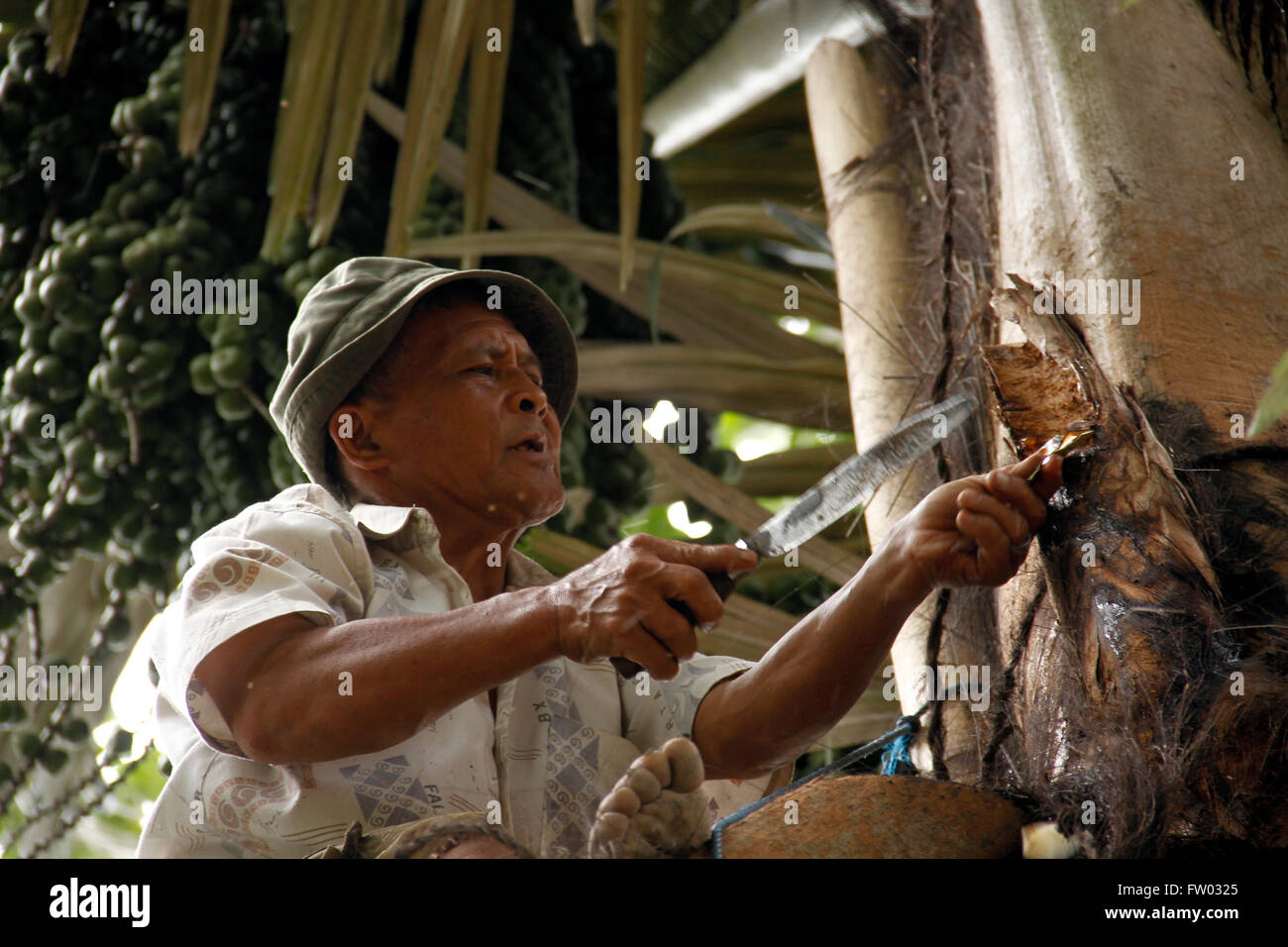 Joseph tapping hi-res stock photography and images - Alamy