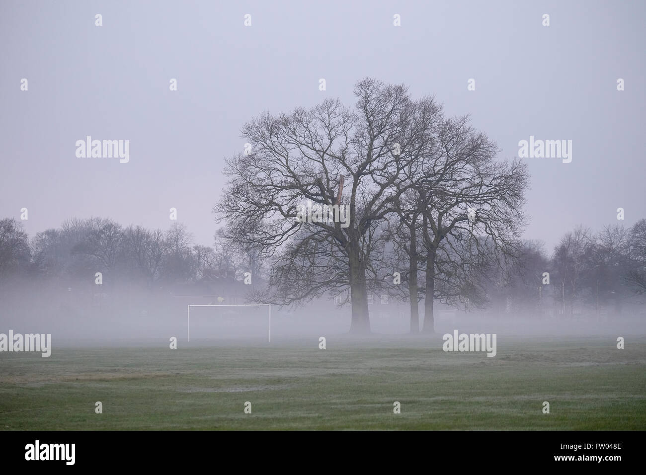 Low lying mist on a winter's day with tree and goal posts Stock Photo ...