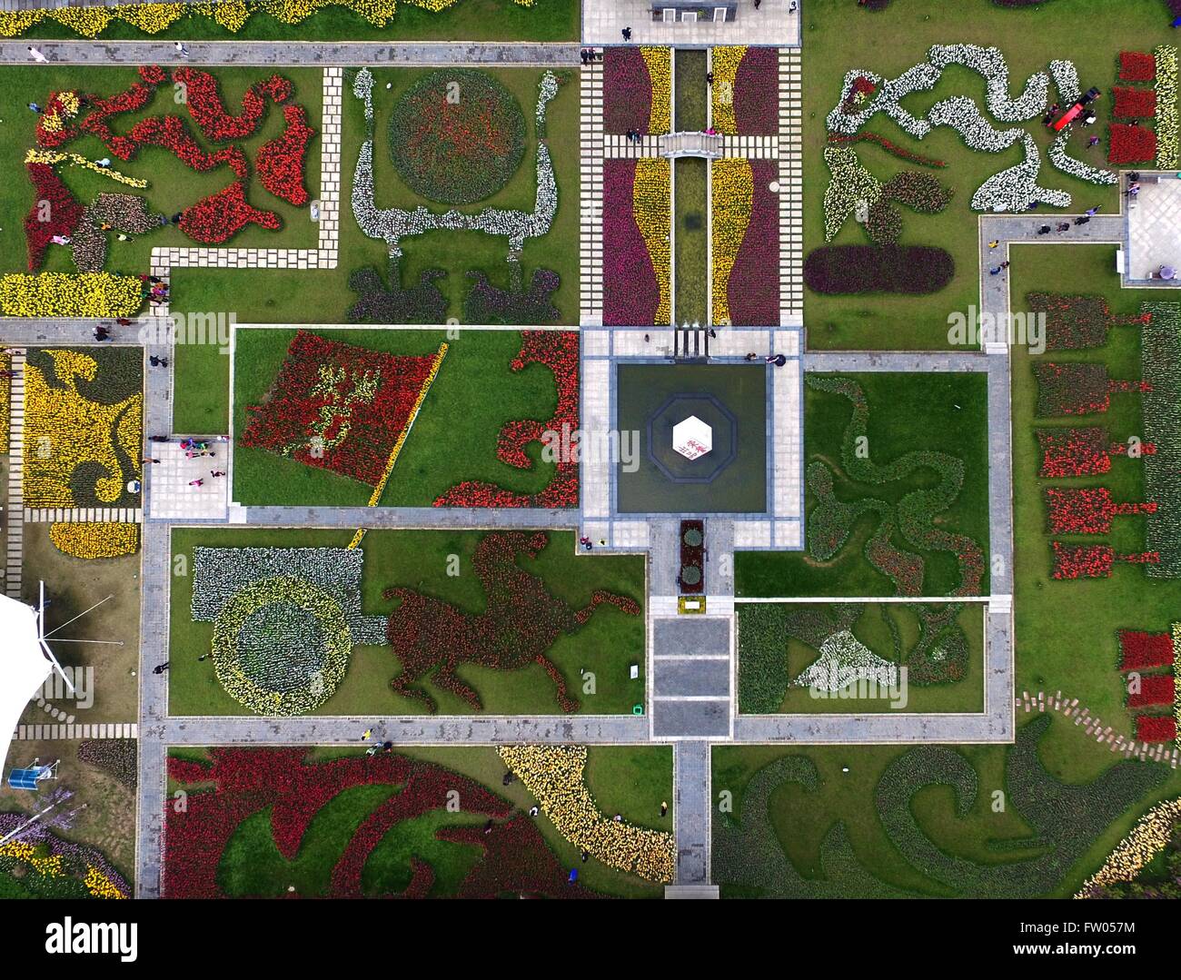 Wuhan, China's Hubei Province. 31st Mar, 2016. Tulip blossom at Dongxi ...