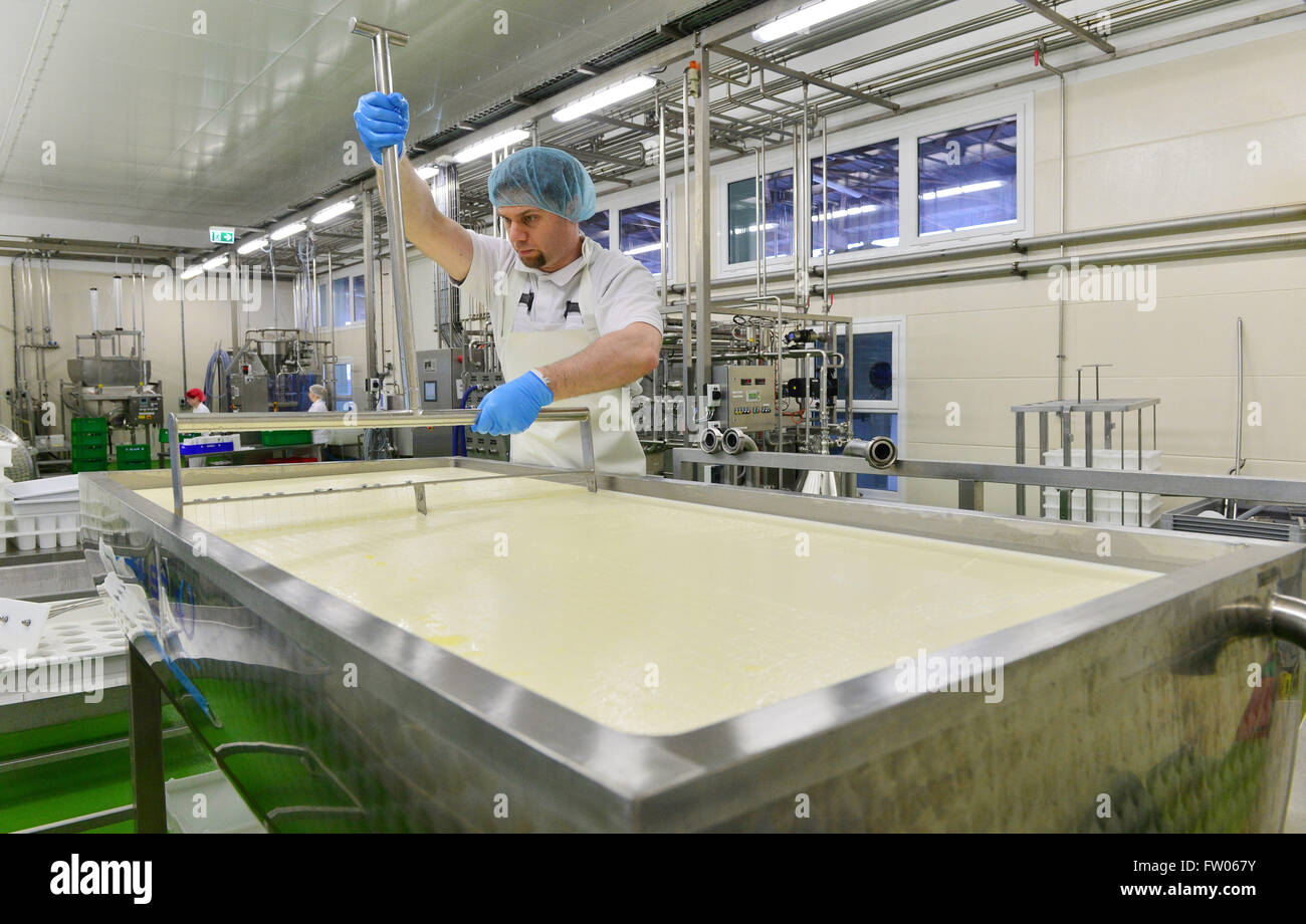 Ronny Kramer uses a so-called cheese harp to cut curdled cheese, which ...