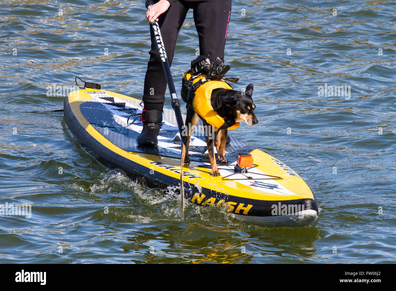 Paddle Board World Record Holder Sarah Smith, New Brighton, Wallasey ...