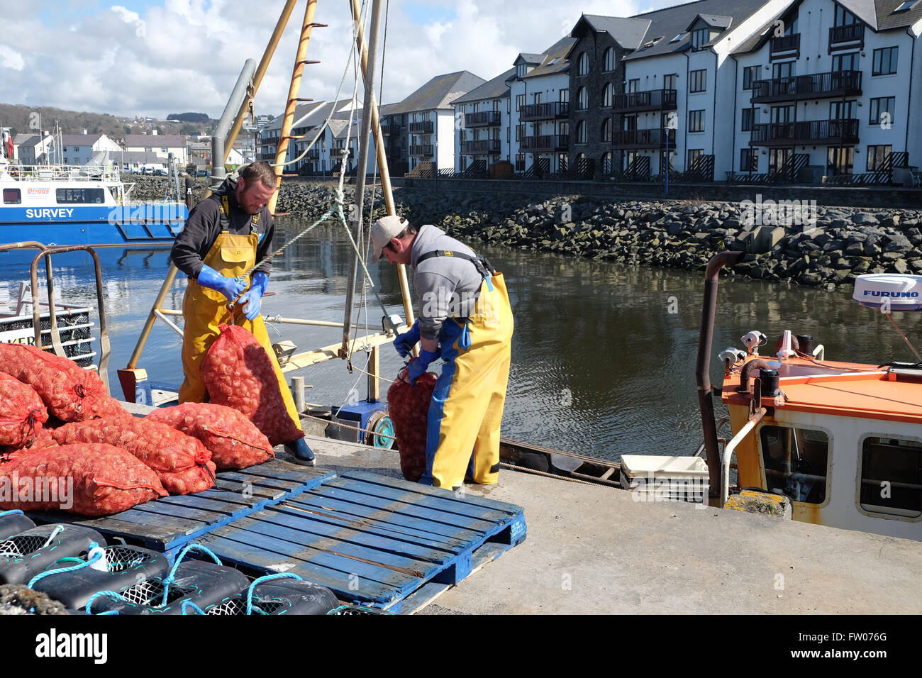 Inshore fishing in cardigan bay hi-res stock photography and images - Alamy