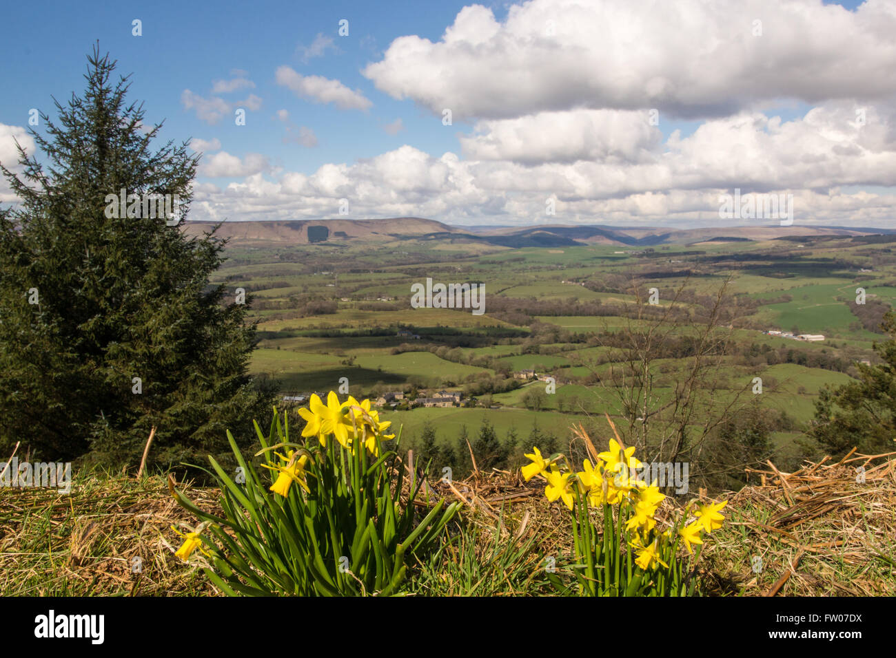 Longridge fell,UK. 31st of March 2016, weather news. A beautiful early ...