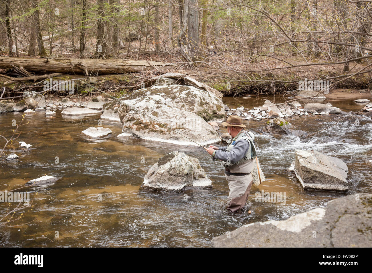 Angler catching and releasing on the South Branch of the Raritan River ...