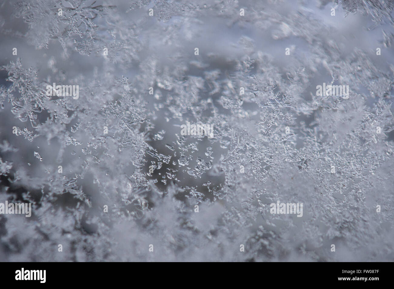 31 march icon hi-res stock photography and images - Alamy