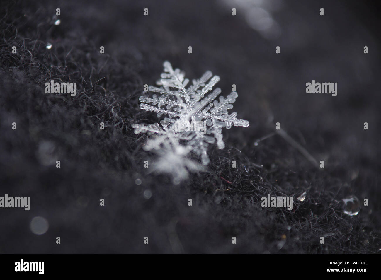 Kiev, Ukraine. 31st Mar, 2016. natural ice crystal snowflake © Nazar ...