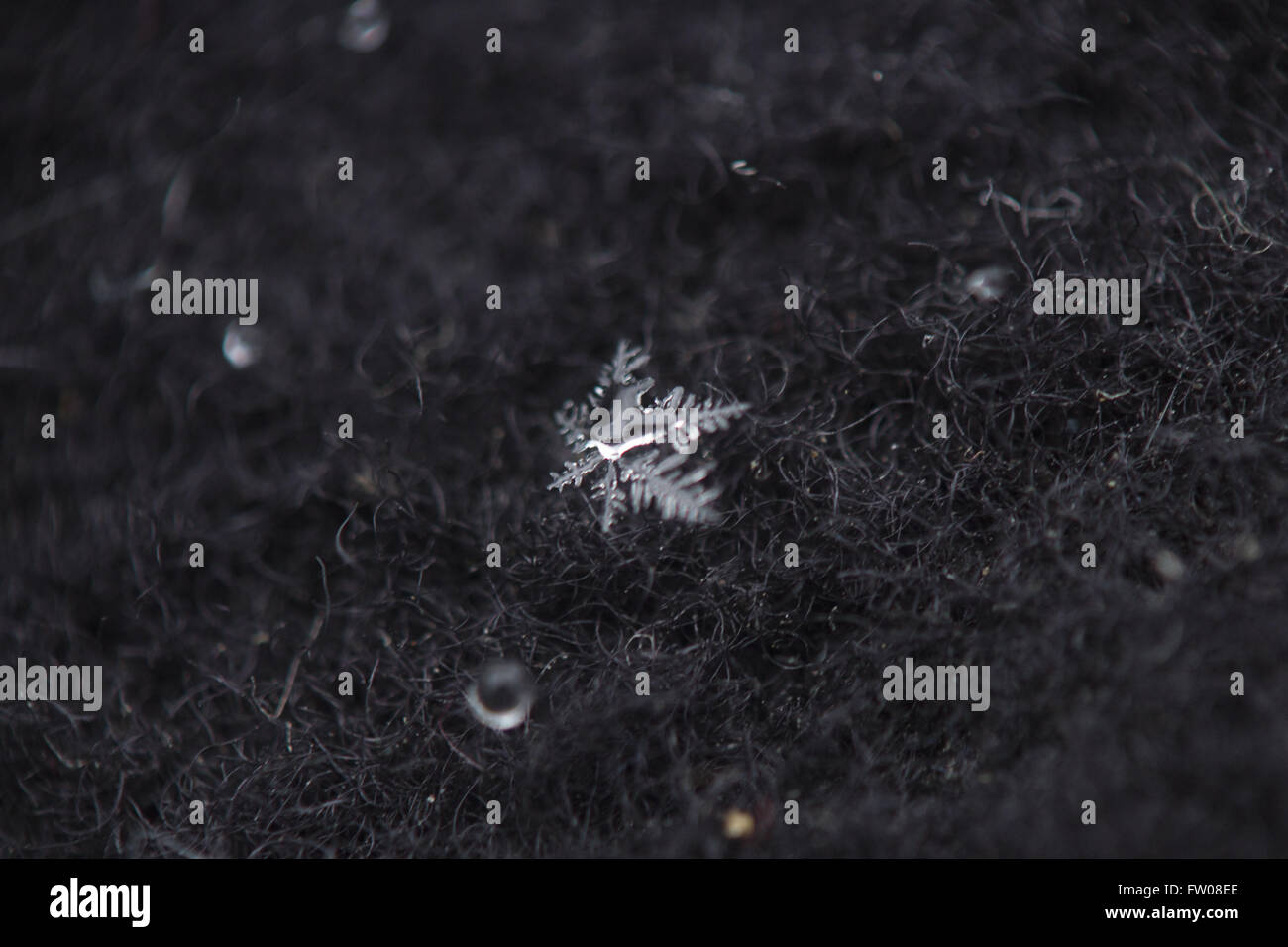 Kiev, Ukraine. 31st Mar, 2016. natural ice crystal snowflake © Nazar ...