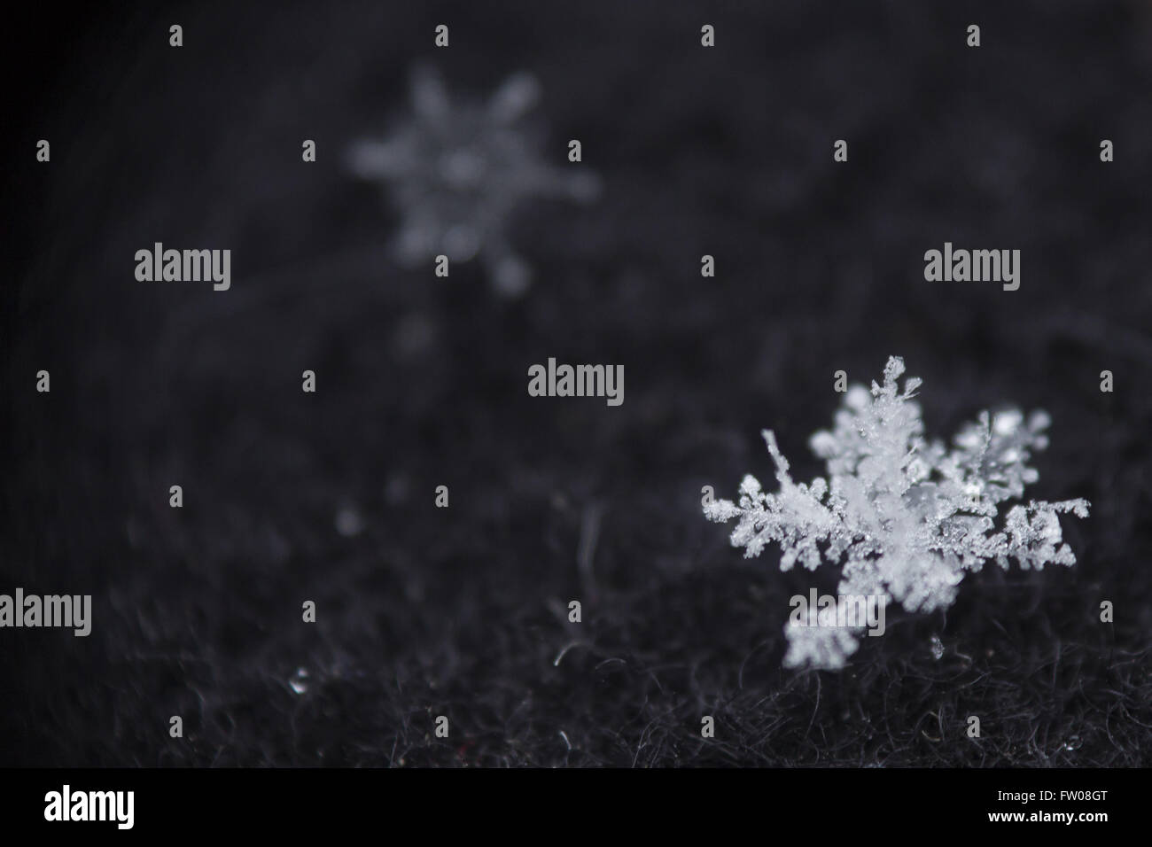 Kiev, Ukraine. 31st Mar, 2016. natural ice crystal snowflake © Nazar ...