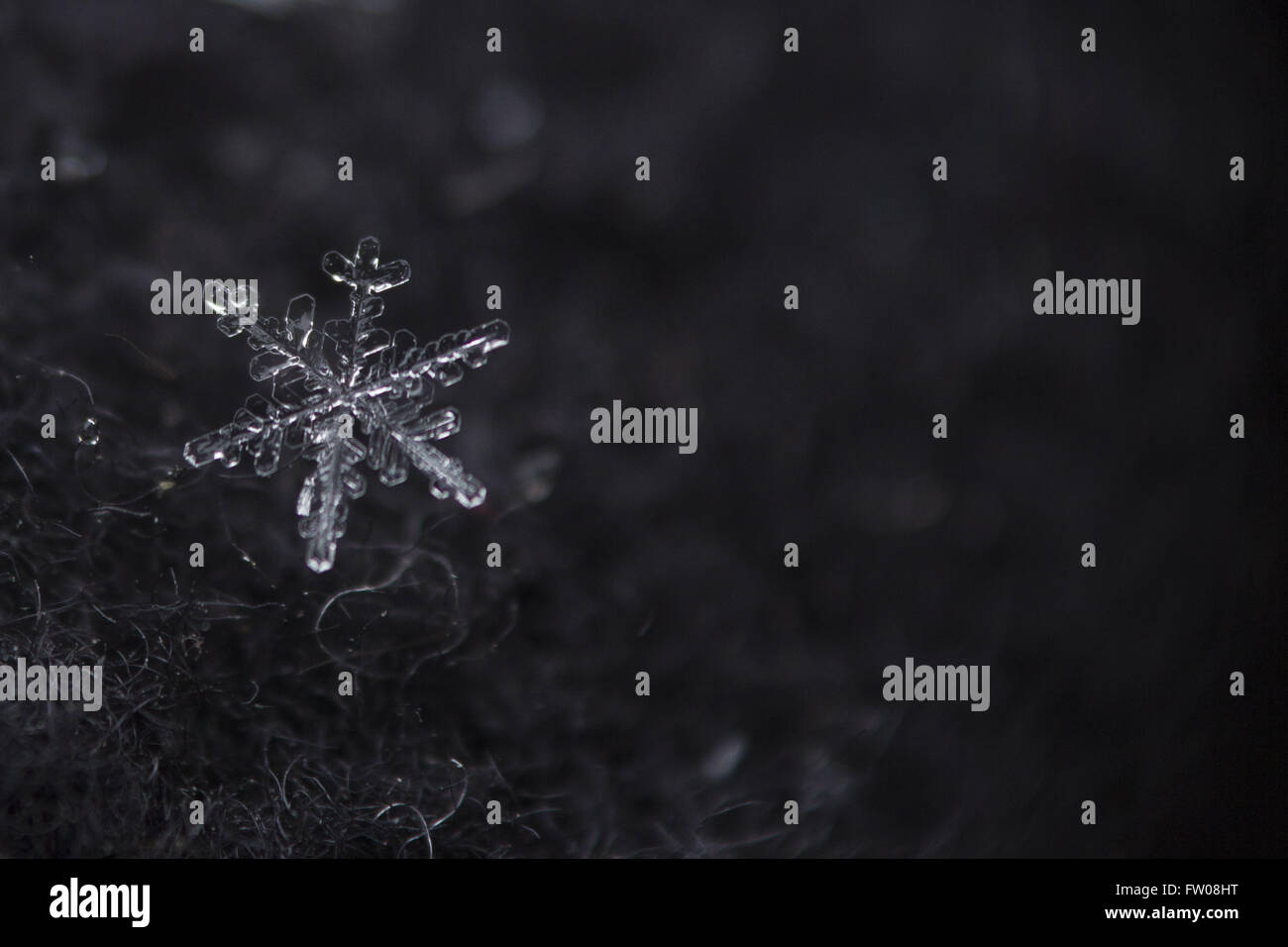 Kiev, Ukraine. 31st Mar, 2016. natural ice crystal snowflake © Nazar ...