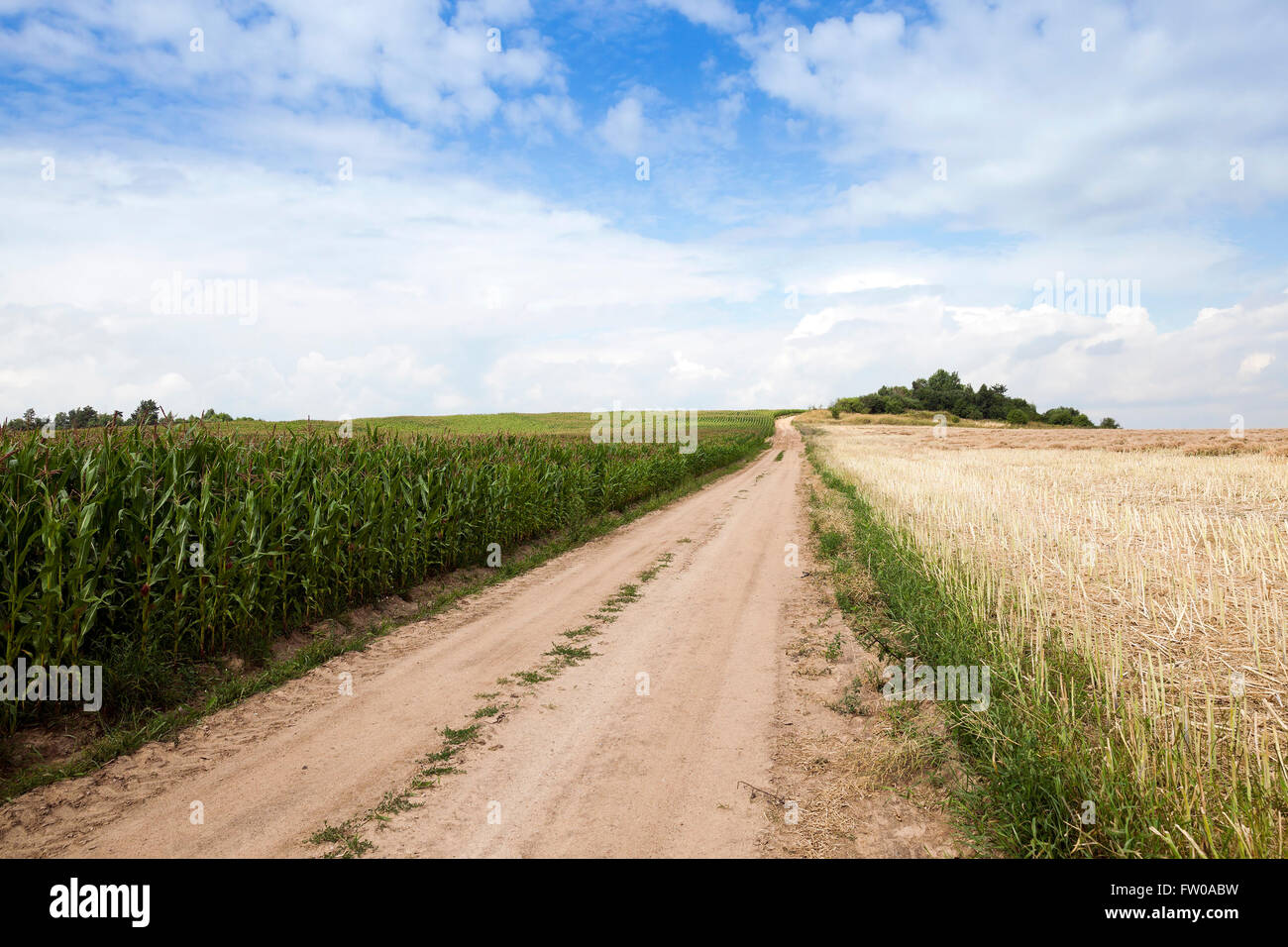 road in a field Stock Photo - Alamy