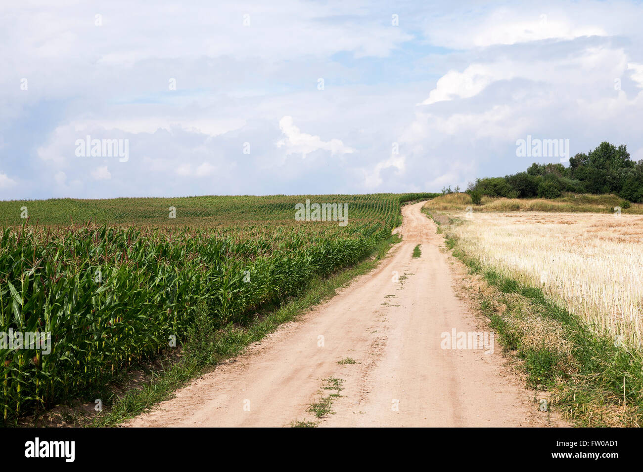 road in a field Stock Photo - Alamy